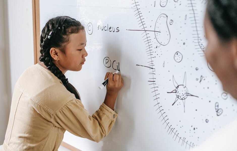 Understanding Cumulative GPA: Definition, Differentiation, and ...