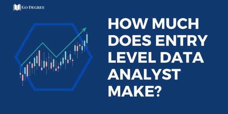 Entry-Level Data Analyst Salaries: An In-depth Look