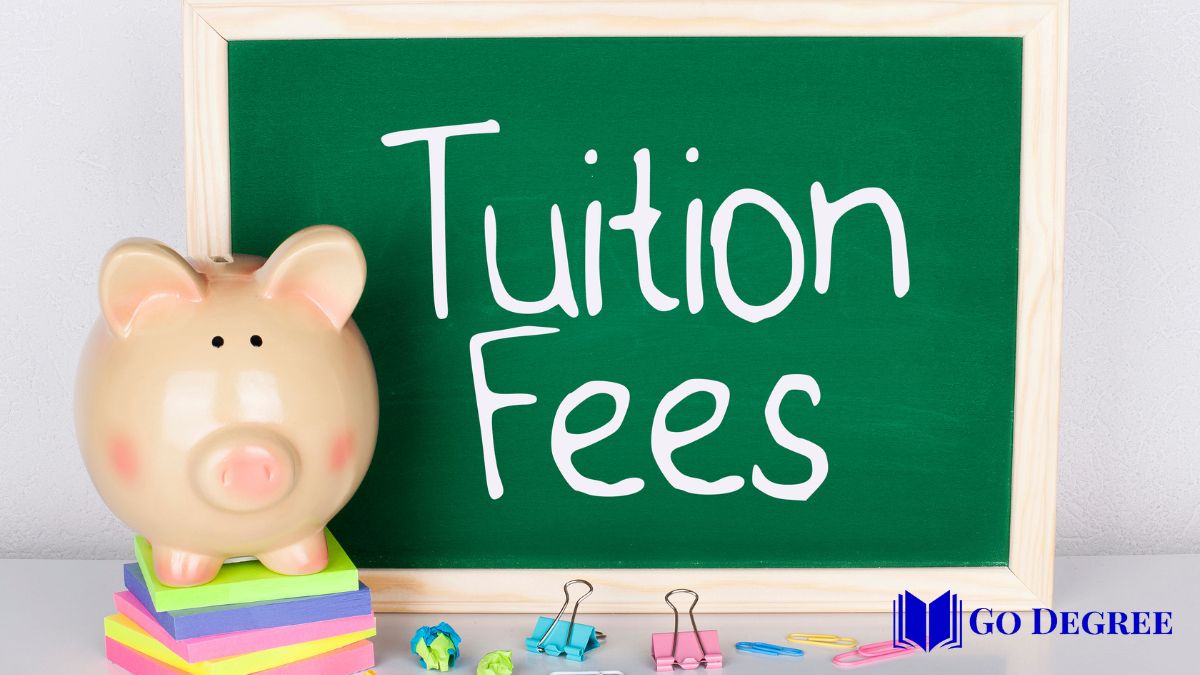 What Are the Most Affordable Master's in Education? - Go Degree