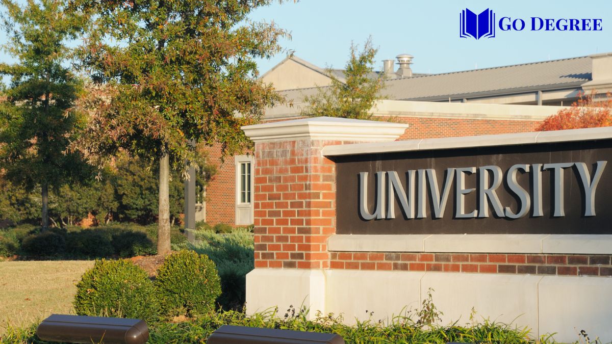 10 Best Universities for Online International Master's Degrees - Go Degree