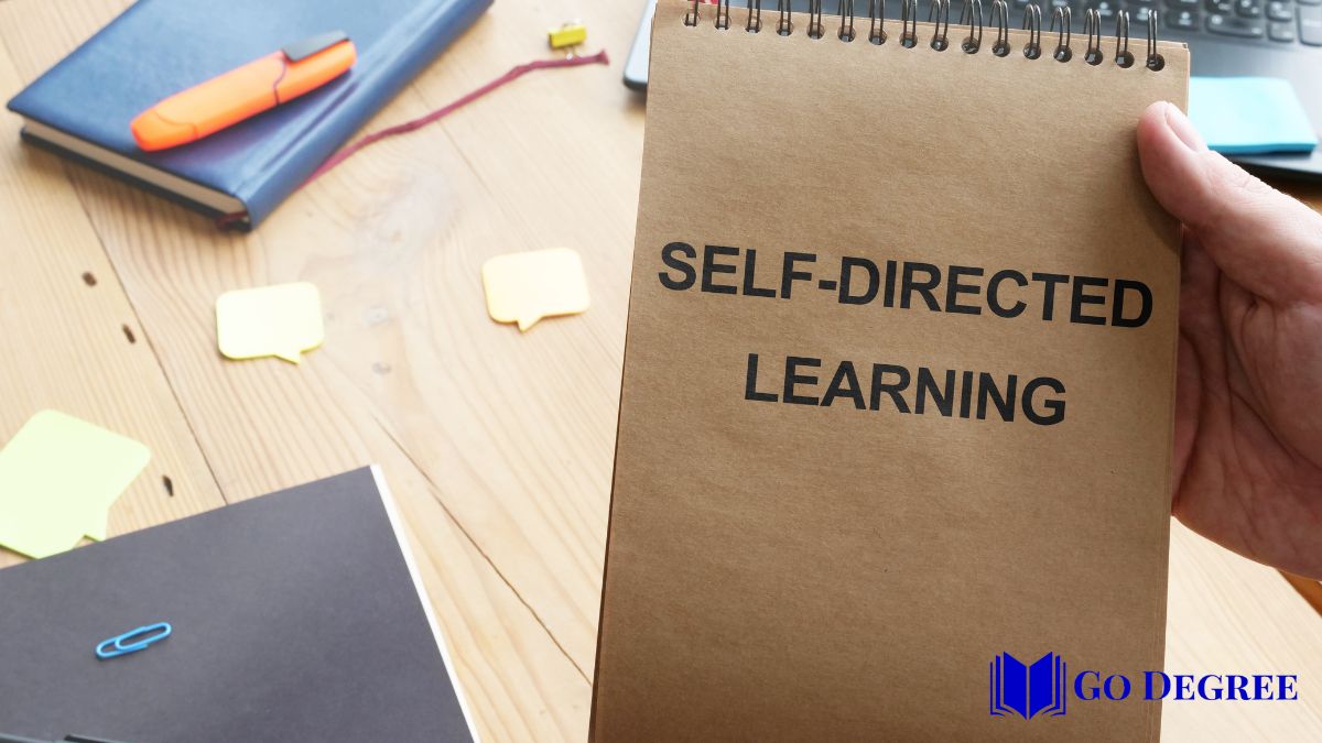 Top Mistakes to Avoid in Self-Directed Learning - Go Degree